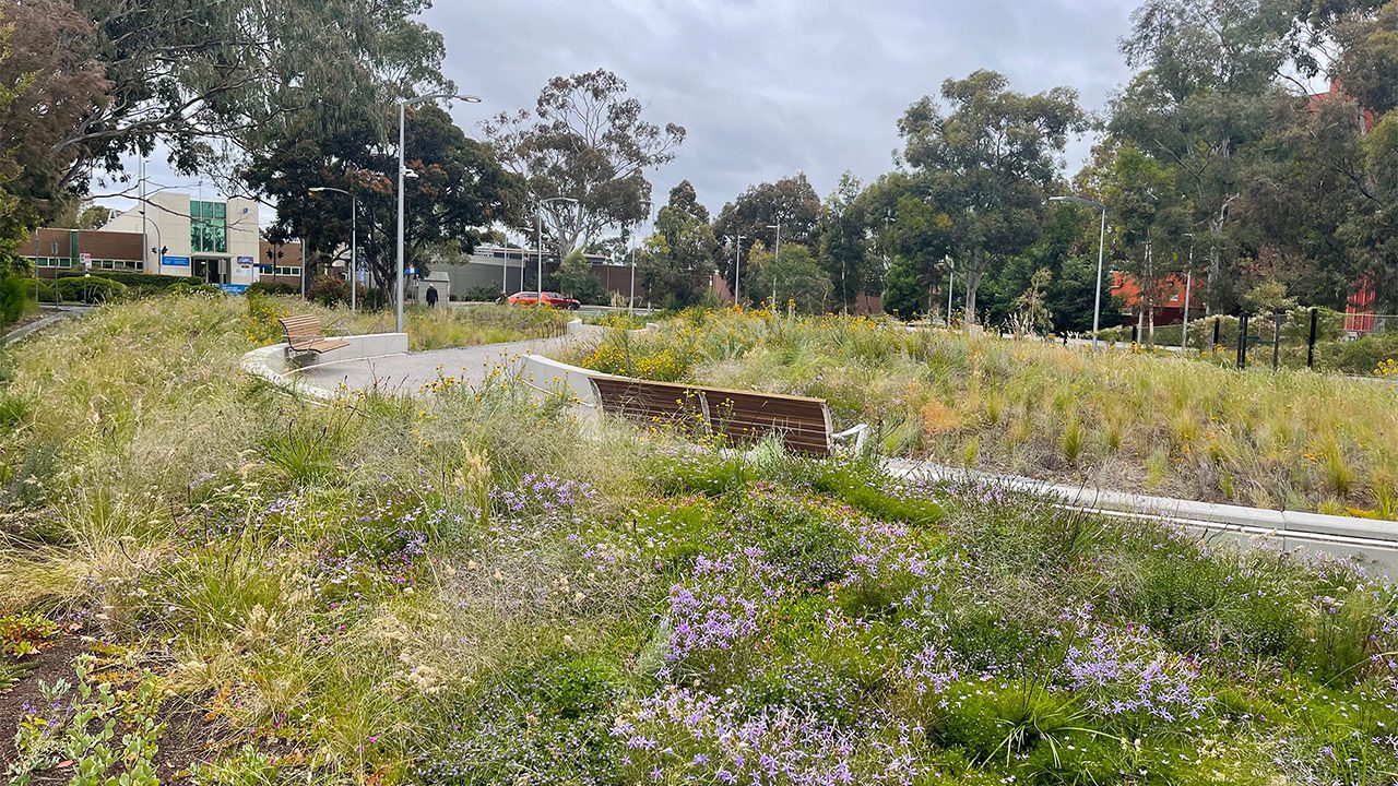 Monash University Flowering Meadow — Tract