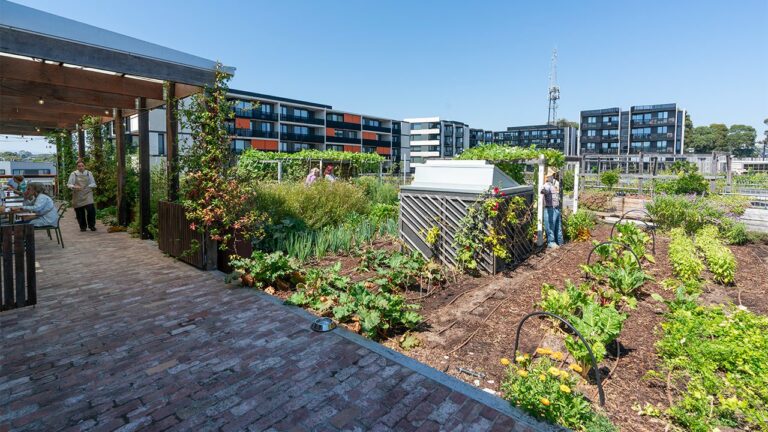 Burwood Brickworks — Tract