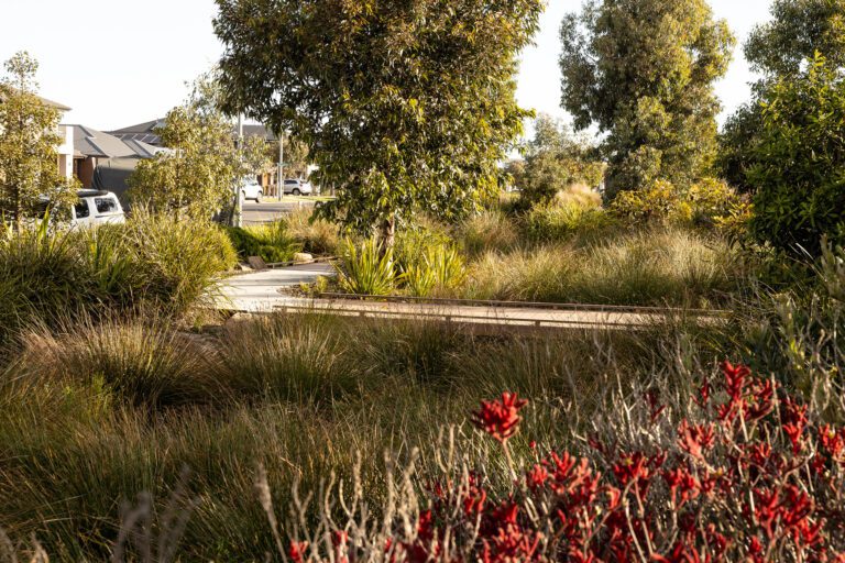 Acacia Estate — Tract